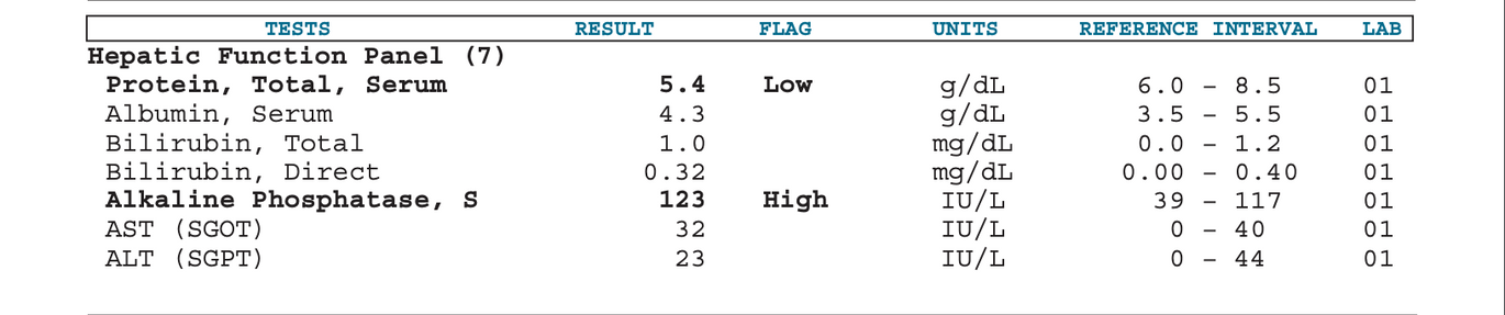 Liver Panel, aka "LFT" (Hepatic Function Tests) – Bloodwork.US